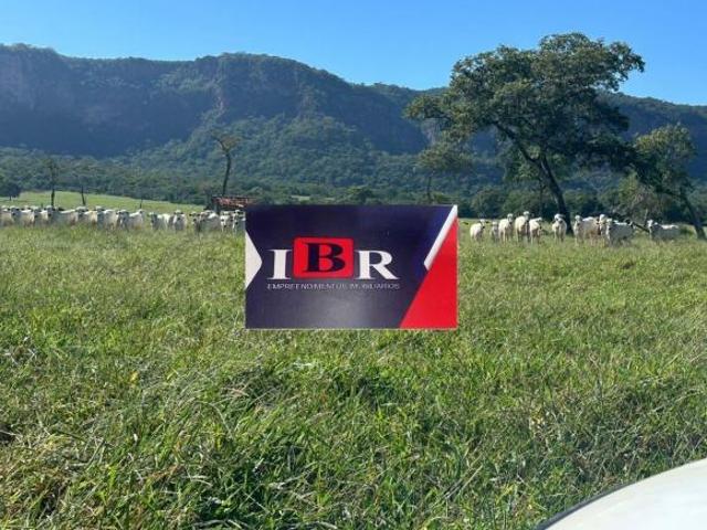 Fazenda em Aquidauana MS