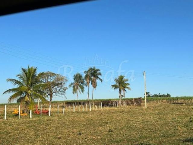 Fazenda em Araçatuba/SP