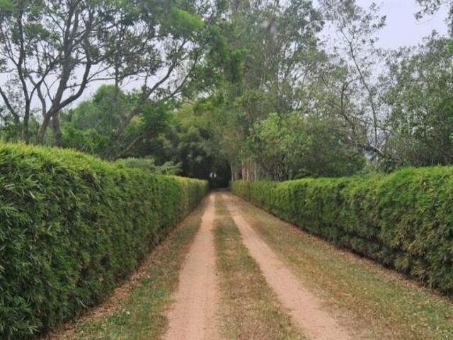 Fazenda em Araçoiba da Serra