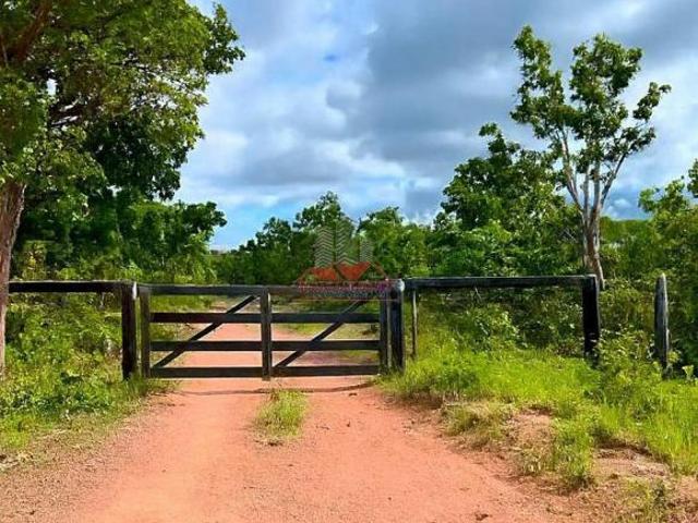 Fazenda em Araguapaz GO: 1.000 Alqueires de Cerrado Bruto