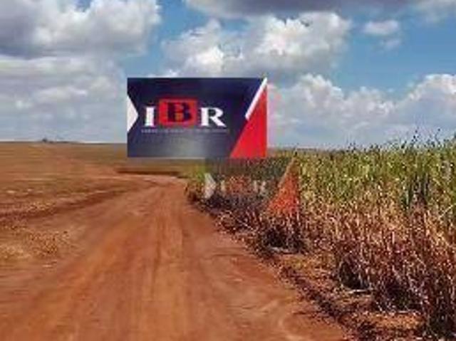 Fazenda em Araraqua SP