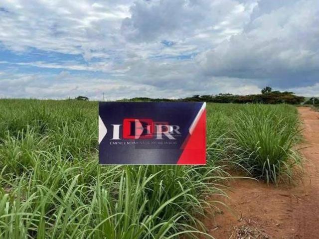 Fazenda em Araraquara SP