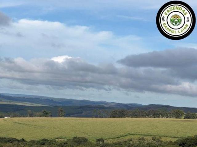 Fazenda em Araxá MG / plantio e pecuária leiteira confinada