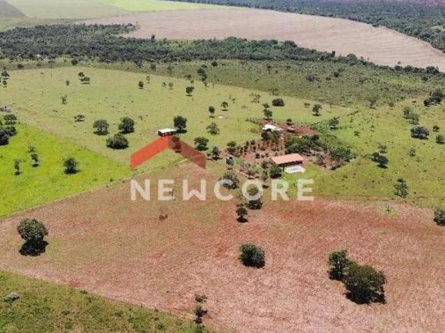 Fazenda em Área Rural Área Rural de Uberlândia Uberlândia/MG