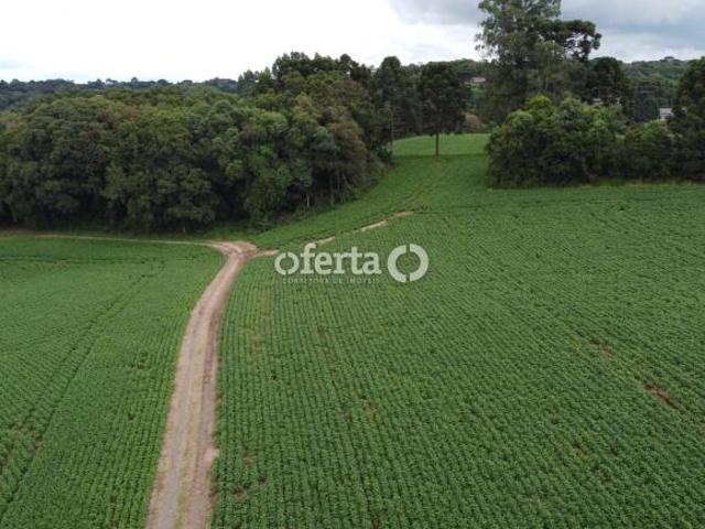 Fazenda em Balsa Nova