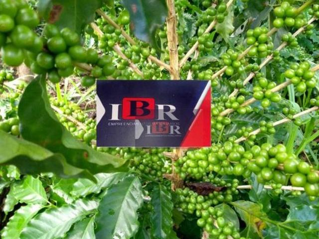Fazenda em Barra do Garças MT