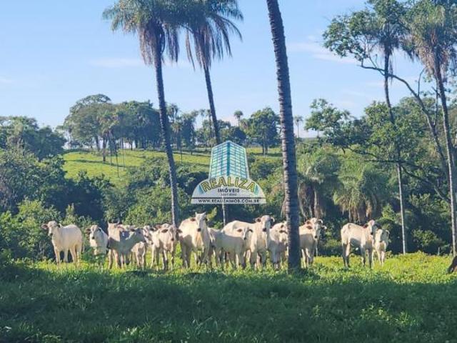 FAZENDA EM BEZERRA GOIAS 54 ALQUEIRES PLANA ESCRITURADA/GEL/CAR NA BEIRA DA BR 100% formada capim b