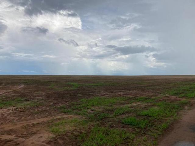 Fazenda em Brasnorte/MT com 563 hectares Dupla aptidão