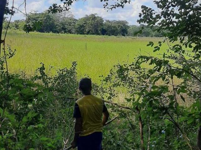 Fazenda em Curvelo MG 60 hectares