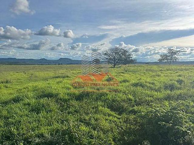 Fazenda em Caiapônia: 115 Alq. Planos e 20 Anos para Pagar