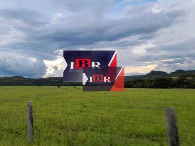 Fazenda em Camapuã MS