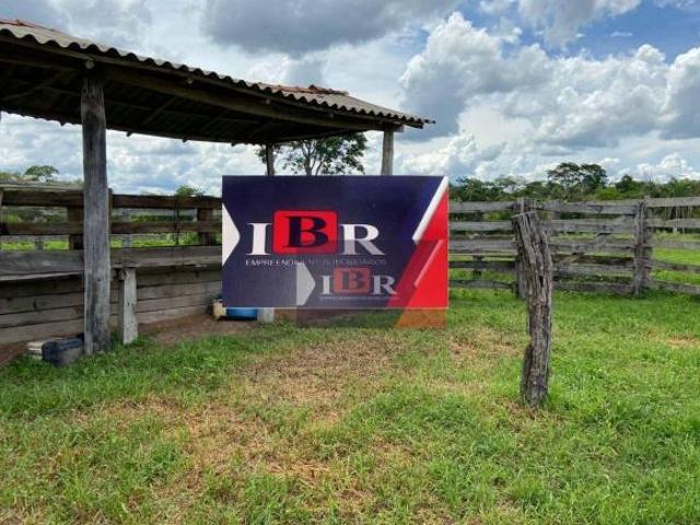 Fazenda em Camapuã MS