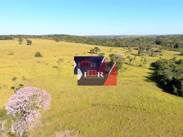 Fazenda em Camapuã MS