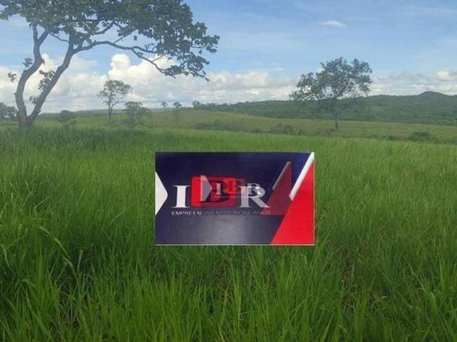 Fazenda em Camapuã MS