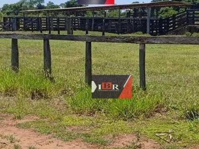 Fazenda em Camapuã MS