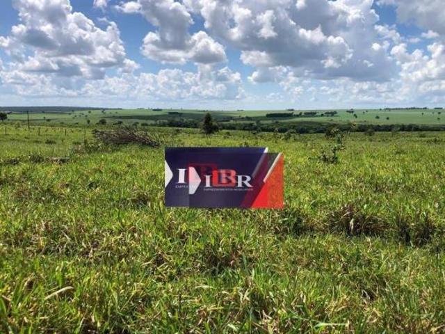 Fazenda em Camapuã MS