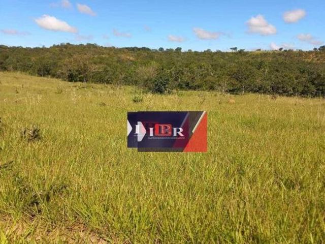Fazenda em Camapuã MS