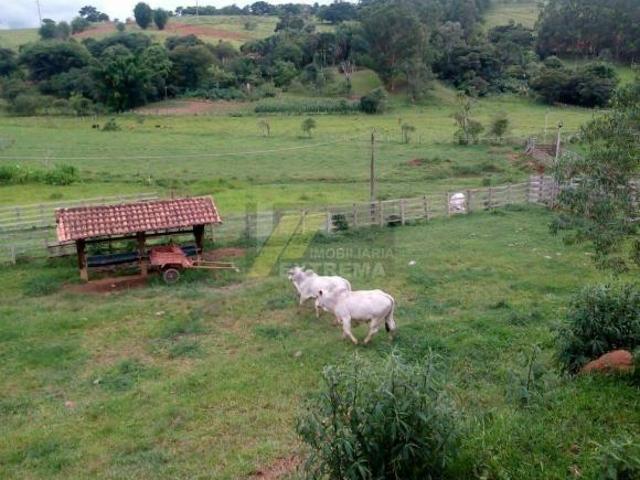 Fazenda em Cambuí, próxima à Fernão Dias