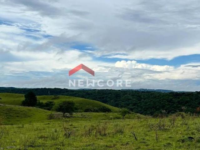 Fazenda em Cambará Centro Cambará/PR
