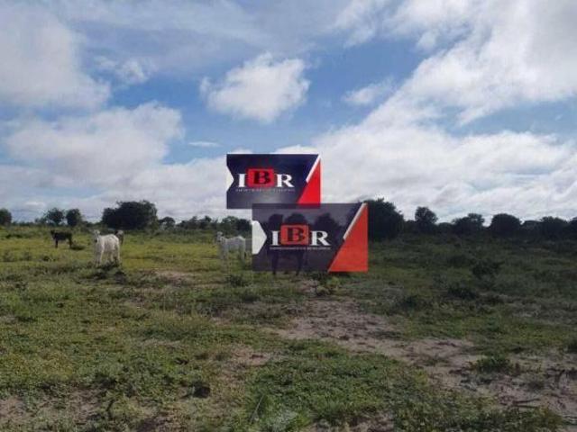 Fazenda em Campo Grande MS