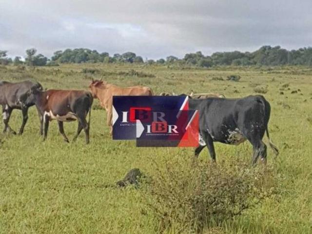 Fazenda em Campo Grande MS