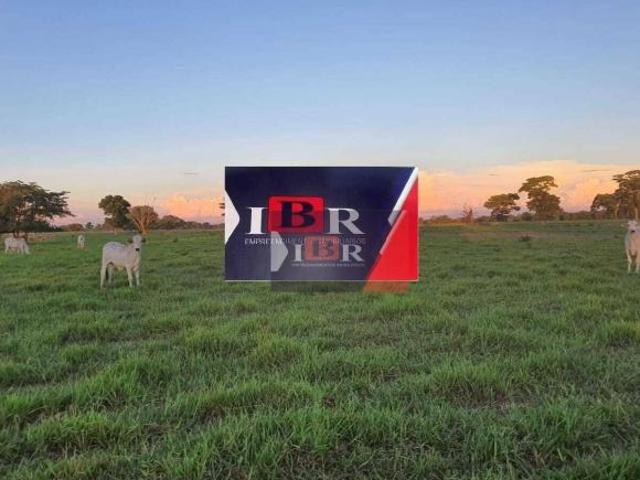 Fazenda em Campo Grande MS