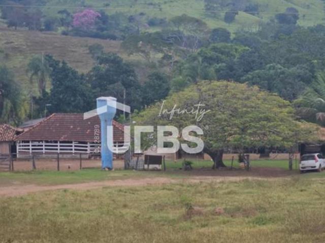 Fazenda em Campo Limpo de Goiás Anápolis