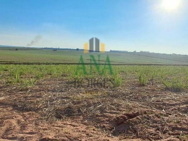 Fazenda em Cana