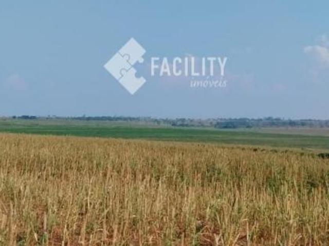 FAZENDA EM CANA A VENDA NA REGIÃO DE PRESIDENTE PRUDENTE SP
