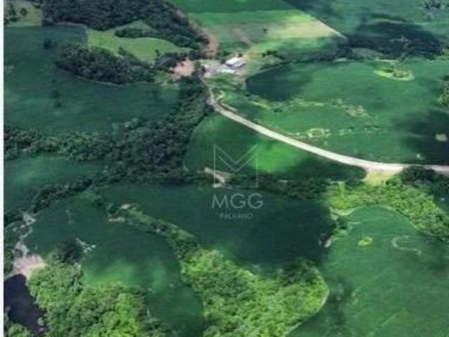 fazenda em Candido de Abreu PR beira de pista