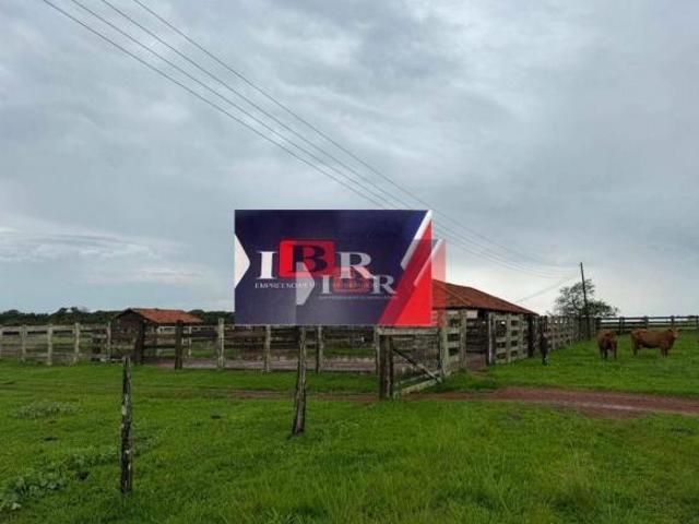 Fazenda em Cassilândia MS