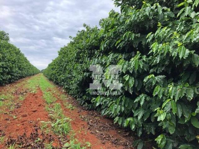 Fazenda com 163 hectares em Carrancas MG