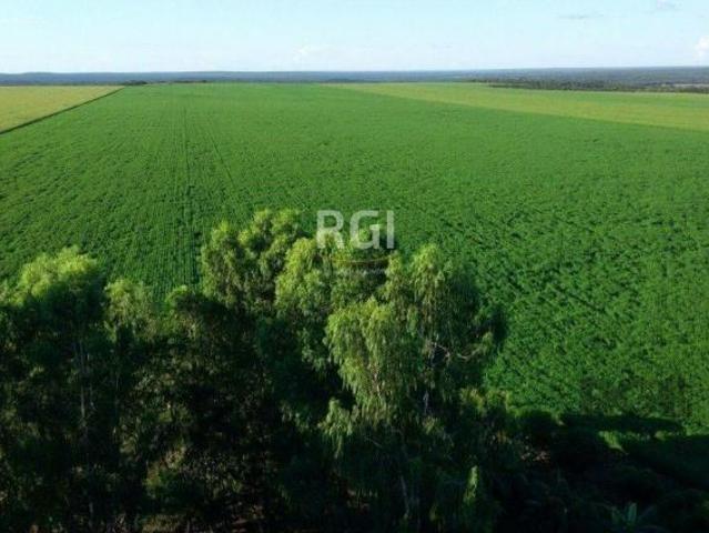 Fazenda em Centro