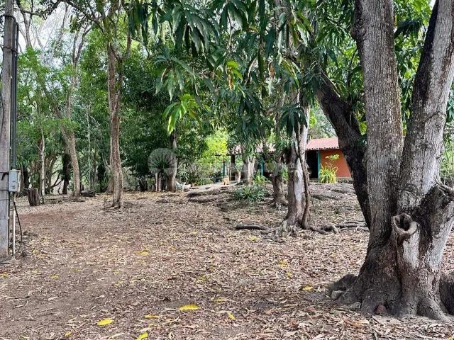 Fazenda em Centro, Teresina/PI de 10m² 4 quartos à venda por R$ 7.999.000,00