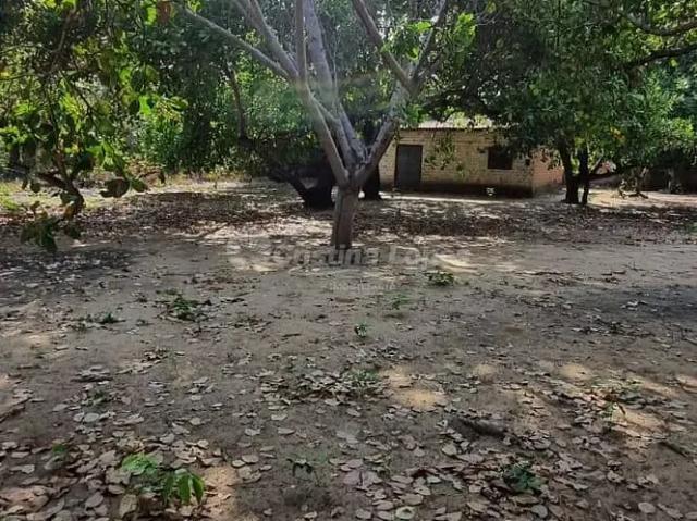 Fazenda em Centro, Teresina/PI de 10m² 2 quartos à venda por R$ 89.900,00