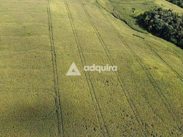 Fazenda em Centro, Castro/PR de 10m² à venda por R$ 14.900.000,00