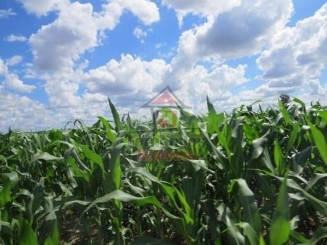 Fazenda em Centro, Dourados/MS de 0m² à venda por R$ 192.000.000,00