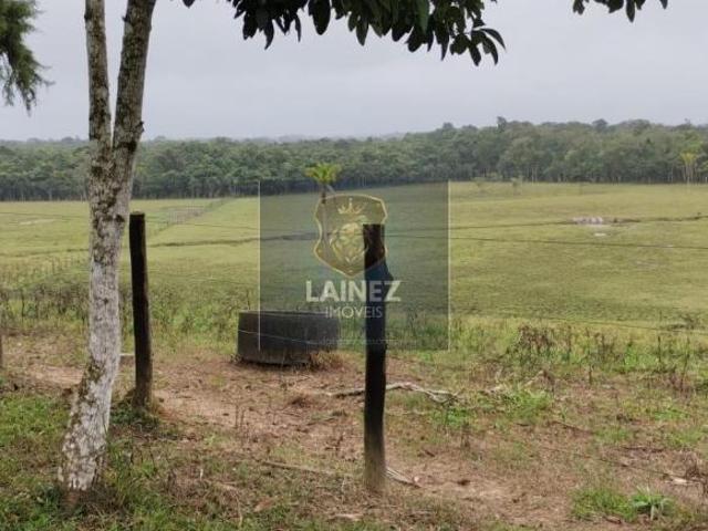 Fazenda em Centro Iguape