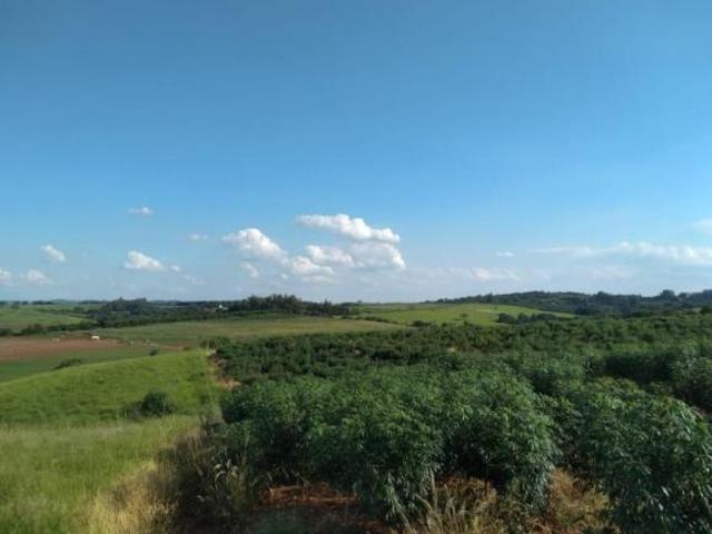 Fazenda em Centro, Itapira/SP de 0m² à venda por R$ 20.000.000,00