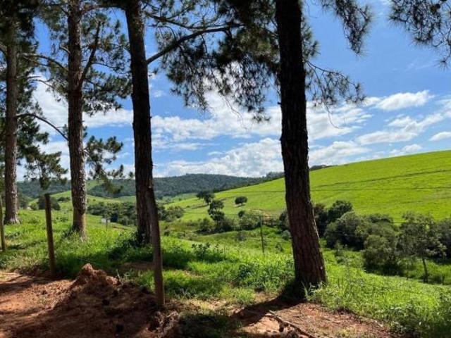 Fazenda em Centro, Pouso Alegre/MG de 0m² à venda por R$ 40.000.000,00