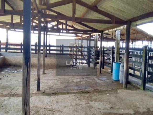 Fazenda em Centro São Lourenço da Serra