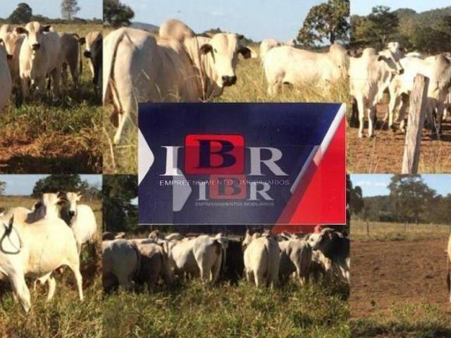 Fazenda em Cocalinho MT