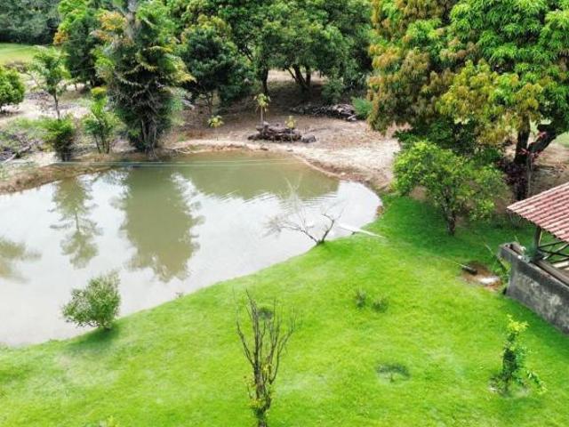 FAZENDA EM COCALZINHO 40 ALQUEIRES