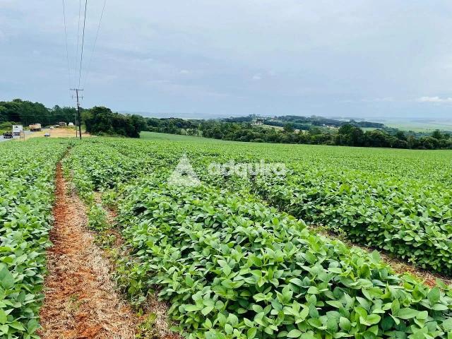 Fazenda em Colônia Dona Luíza, Ponta Grossa/PR de 10m² à venda por R$ 8.499.900,00