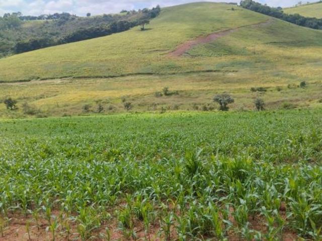 Fazenda em Conceição do Rio Verde MG 268,4 hectares