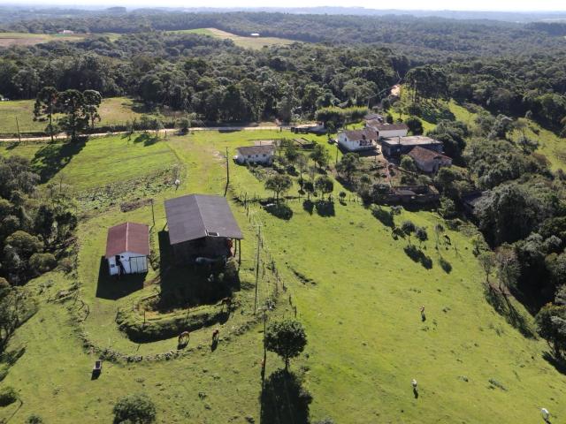 Fazenda em Costeira, São José dos Pinhais/PR de 10m² 3 quartos à venda por R$ 3.499.000,00