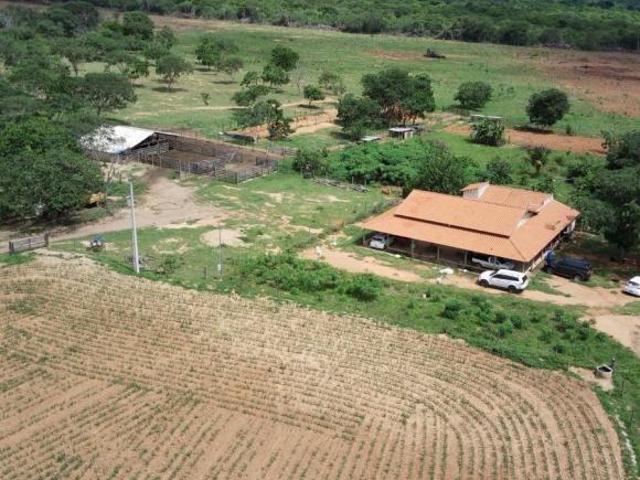 FAZENDA EM COROMANDEL: 71 HEC PRODUTIVOS E RIO PIRAPETINGA