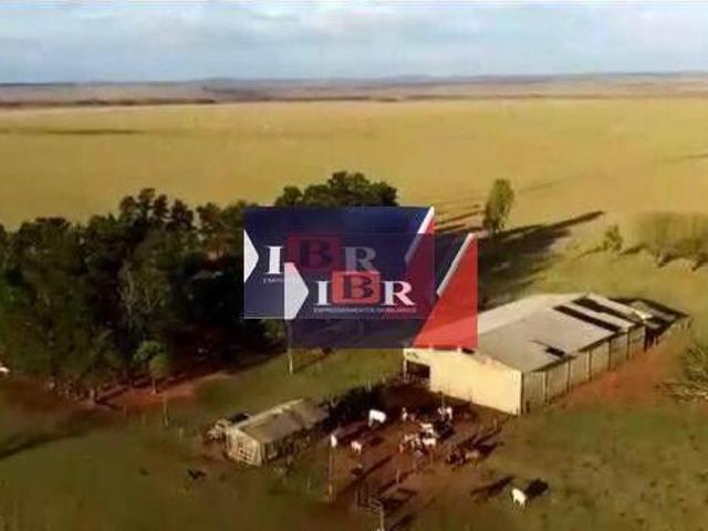 Fazenda em Coronel Sapucaia MS