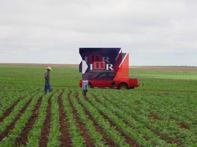 Fazenda em Coronel Sapucaia MS