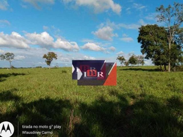 Fazenda em Corguinho MS